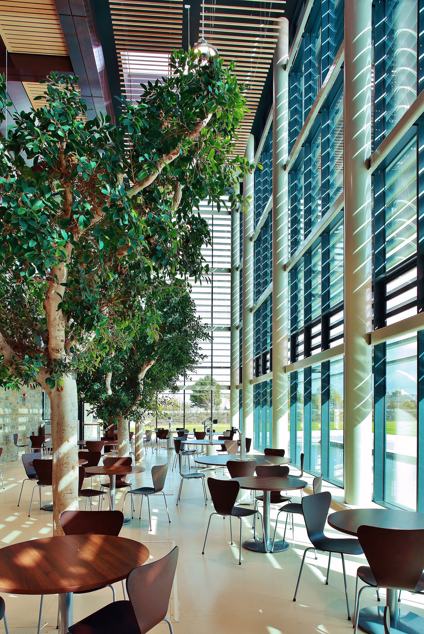 DAERA HQ - Metal Technology